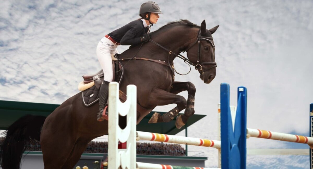 ¿Qué es la hípica? Características de este deporte - Guías Deportivas