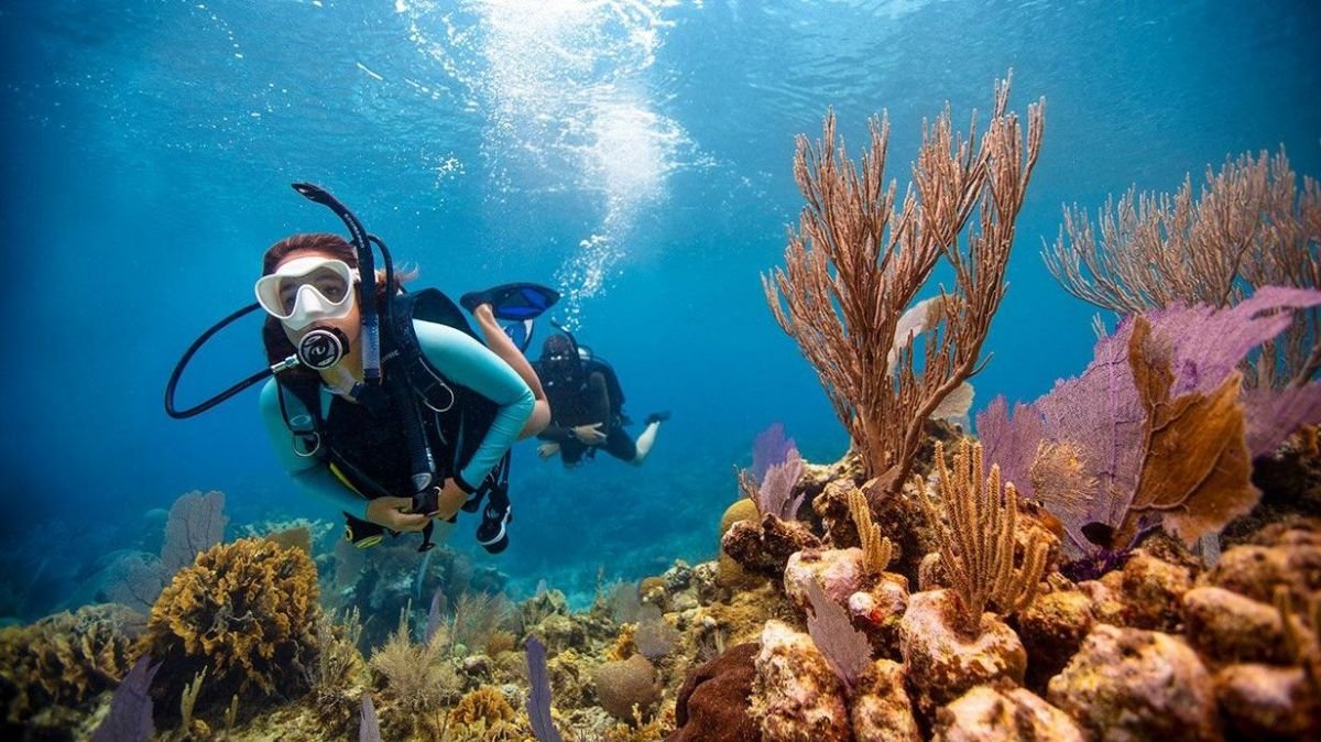 PADI Open Water Diver: qué es y razones para hacer el curso - Guías ...